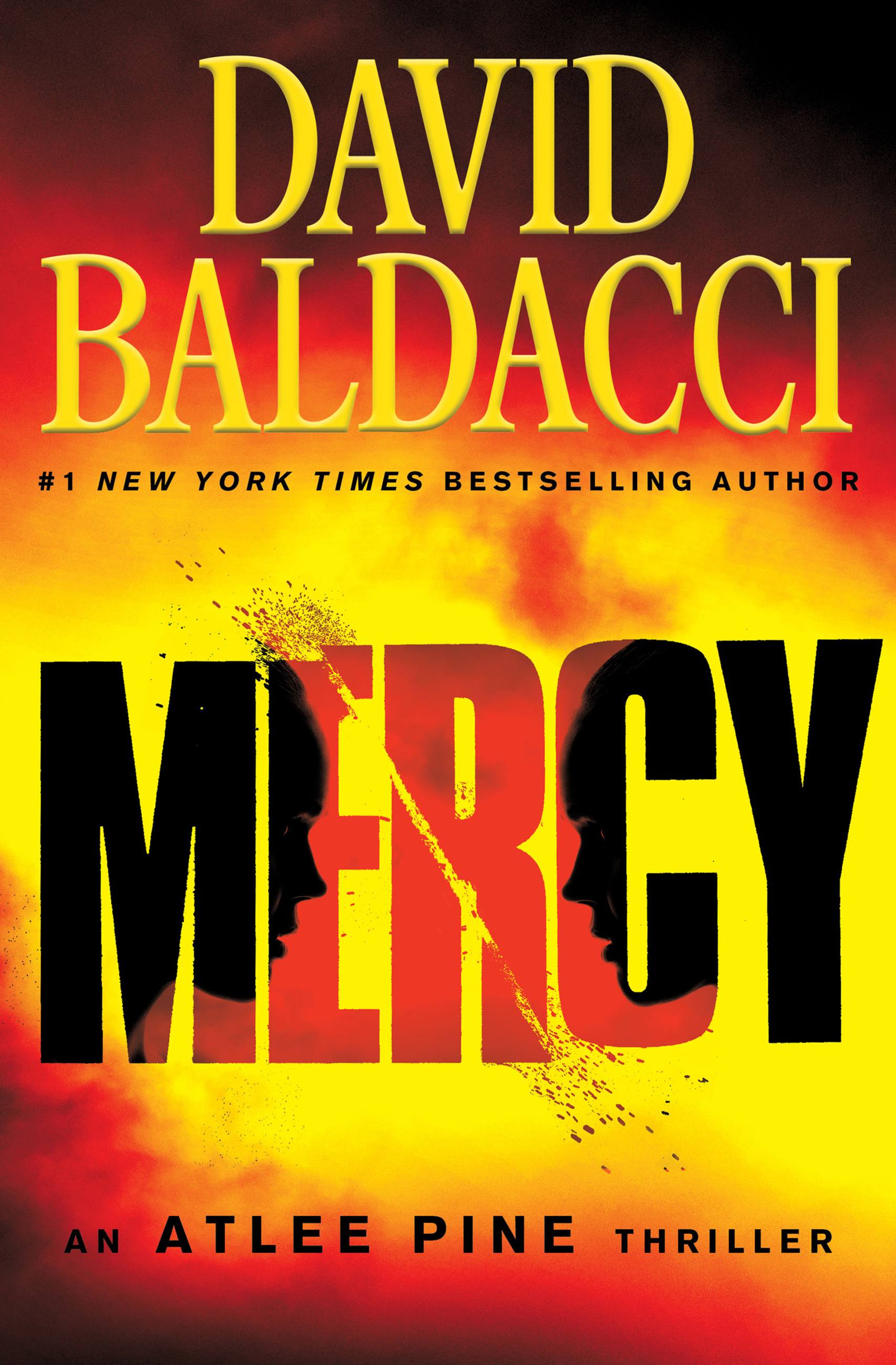 Atlee Pine Series | David Baldacci